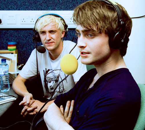 Daniel Radcliffe Deathly Hallows And Draco Malfoy Image 71226 On