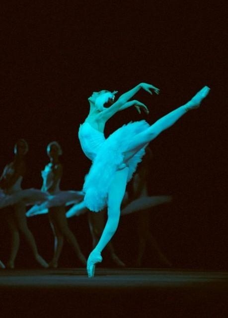 ballerina, ballet and dance - image #91024 on Favim.com