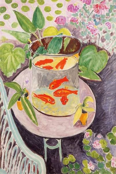 aquarium, fish and henri matisse - image #107770 on Favim.com
